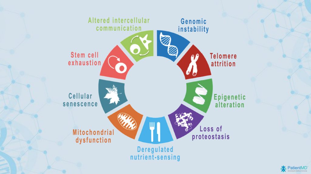 Aging healthfully – Genetically explained! | PatientMD